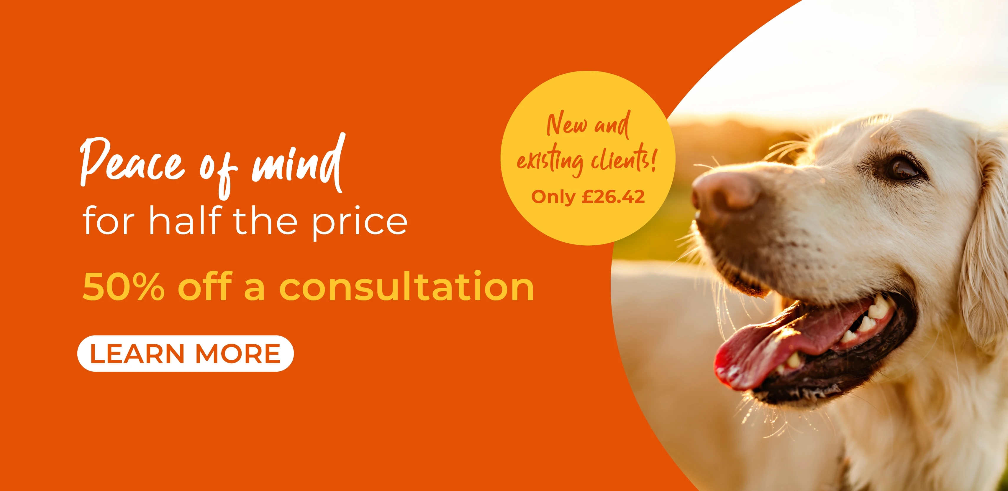 Donnachie & Townley Veterinary Centre in Rugeley & Stafford