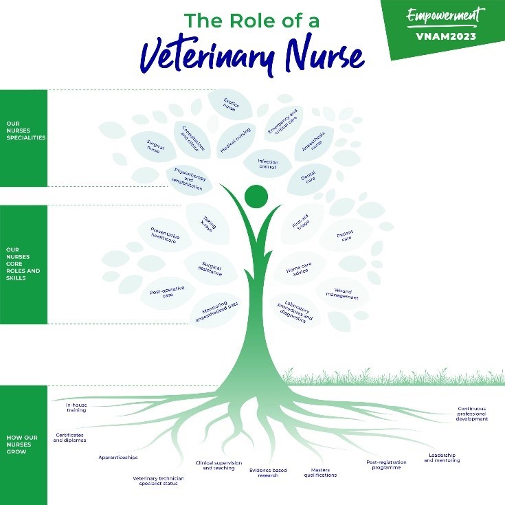 Veterinary Nursing Awareness Month | D & T Vets | Rugeley
