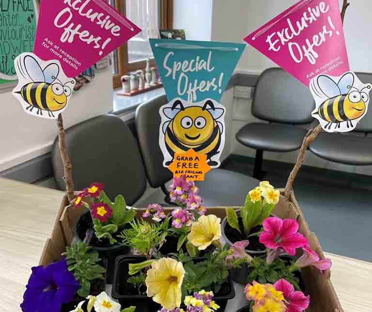 D&T is encouraging clients and staff to ‘bee friendly’ and help boost ...